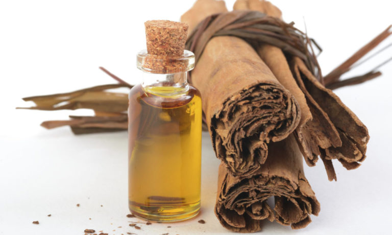 The Story of Thieves Oil and its Name - Dr. Margaret Trey
